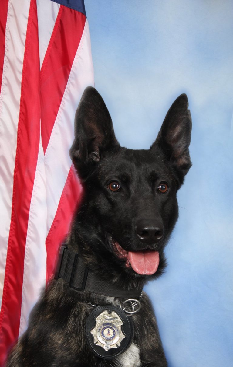 Working dogs | Police K9 body armor | Donate| Police nonprofit | K9 vest