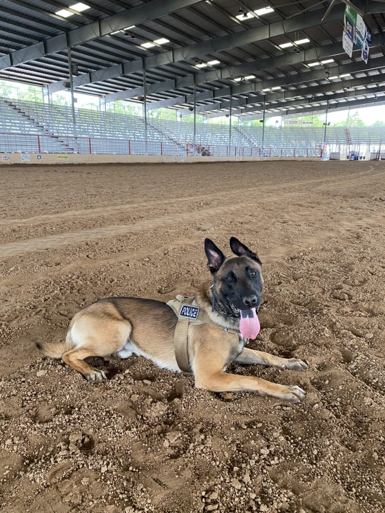Working dogs | Police K9 body armor | Donate| Police nonprofit | K9 vest