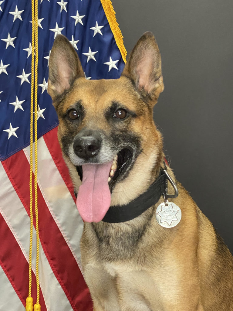 Working dogs | Police K9 body armor | Donate| Police nonprofit | K9 vest