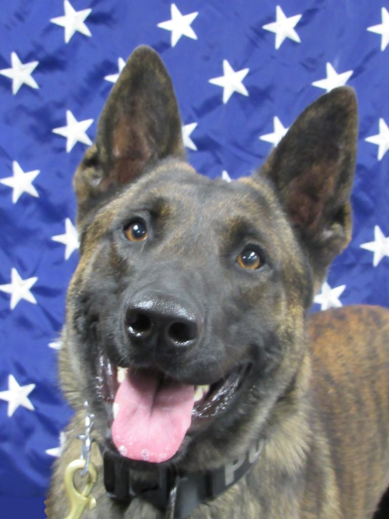 Working dogs | Police K9 body armor | Donate| Police nonprofit | K9 vest