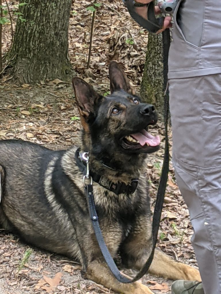 Working dogs | Police K9 body armor | Donate| Police nonprofit | K9 vest