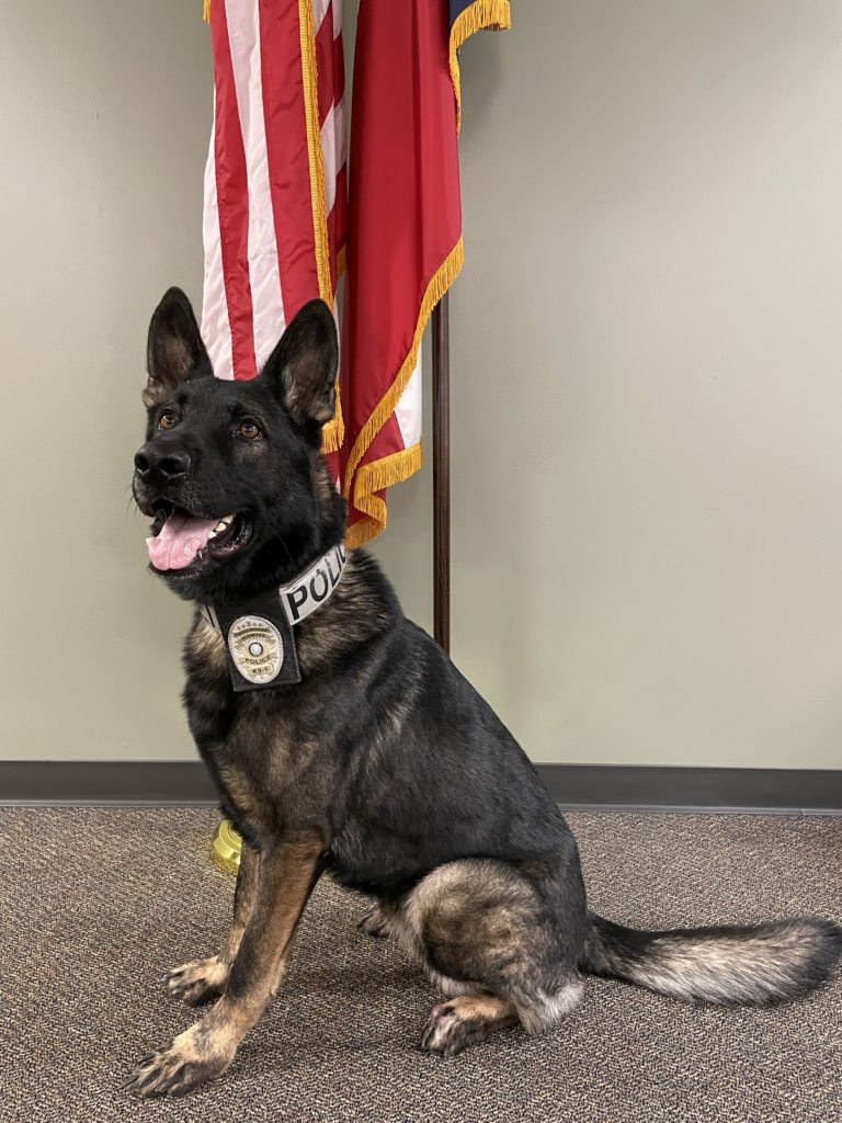 Working dogs | Police K9 body armor | Donate| Police nonprofit | K9 vest